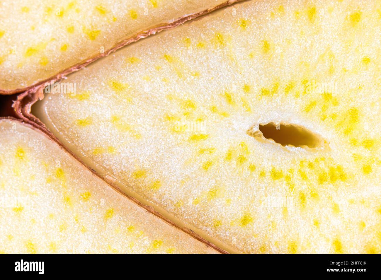 Garlic cross section close up hi-res stock photography and images - Alamy