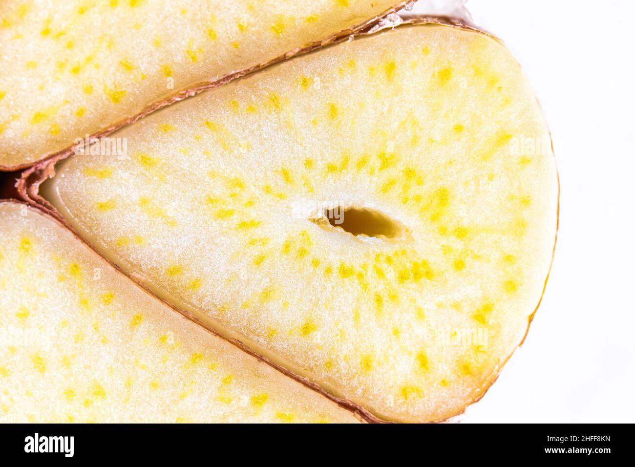 Garlic cross section hi-res stock photography and images - Alamy
