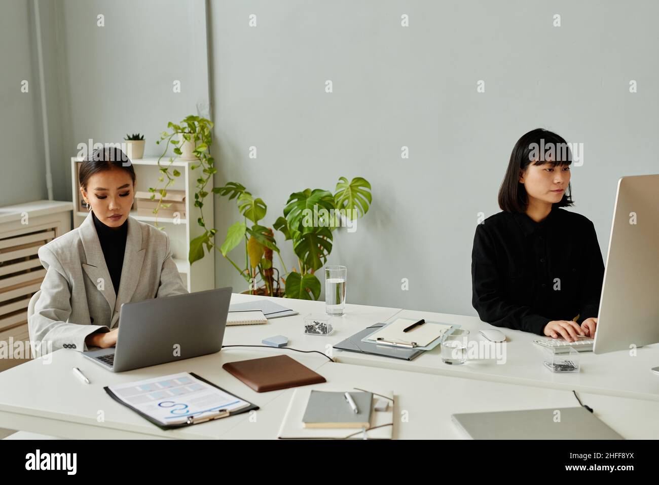 Minimal portrait of two young Asian women using computers in modern ...