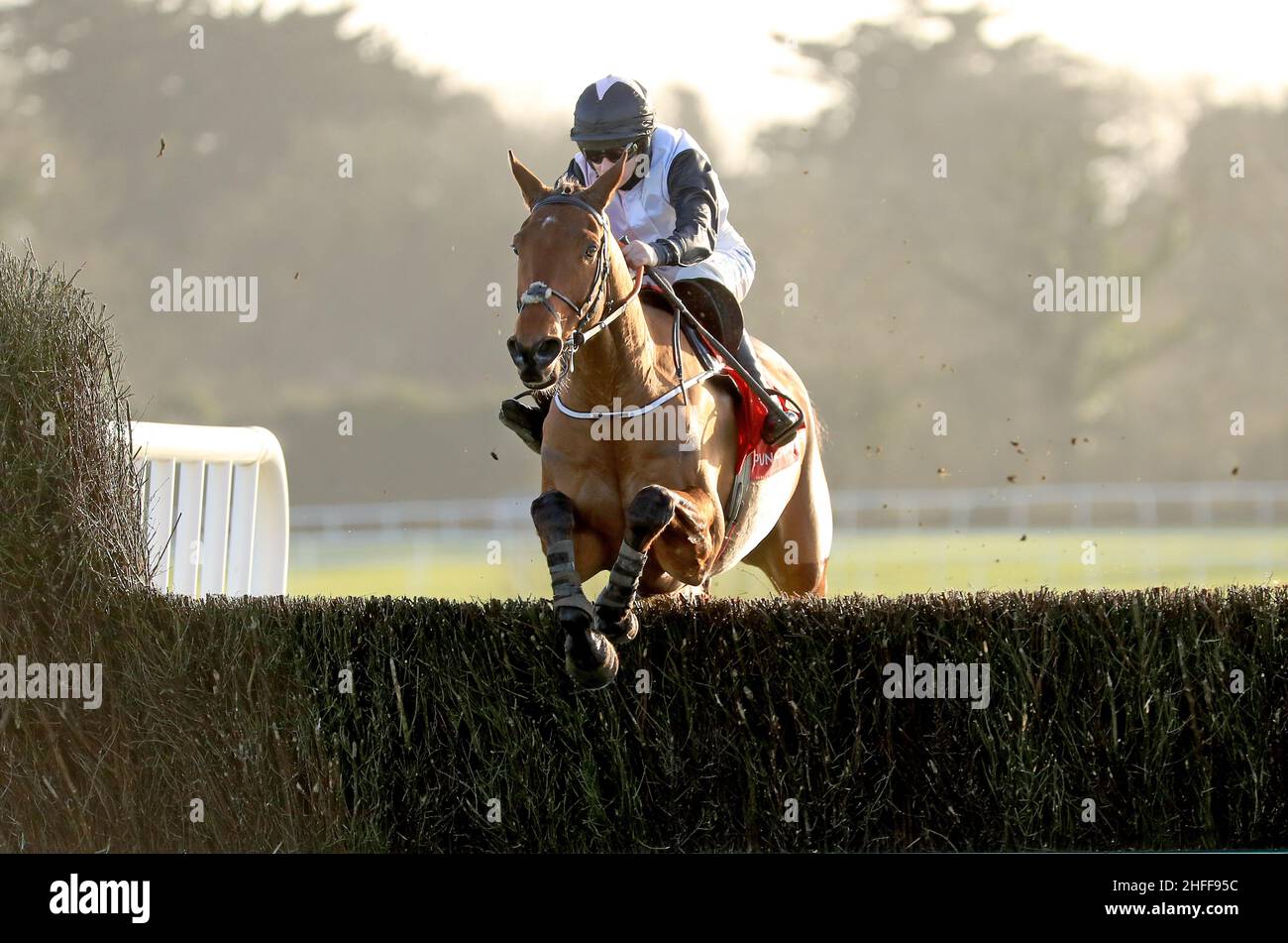 Bob olinger 2022 hi-res stock photography and images - Alamy