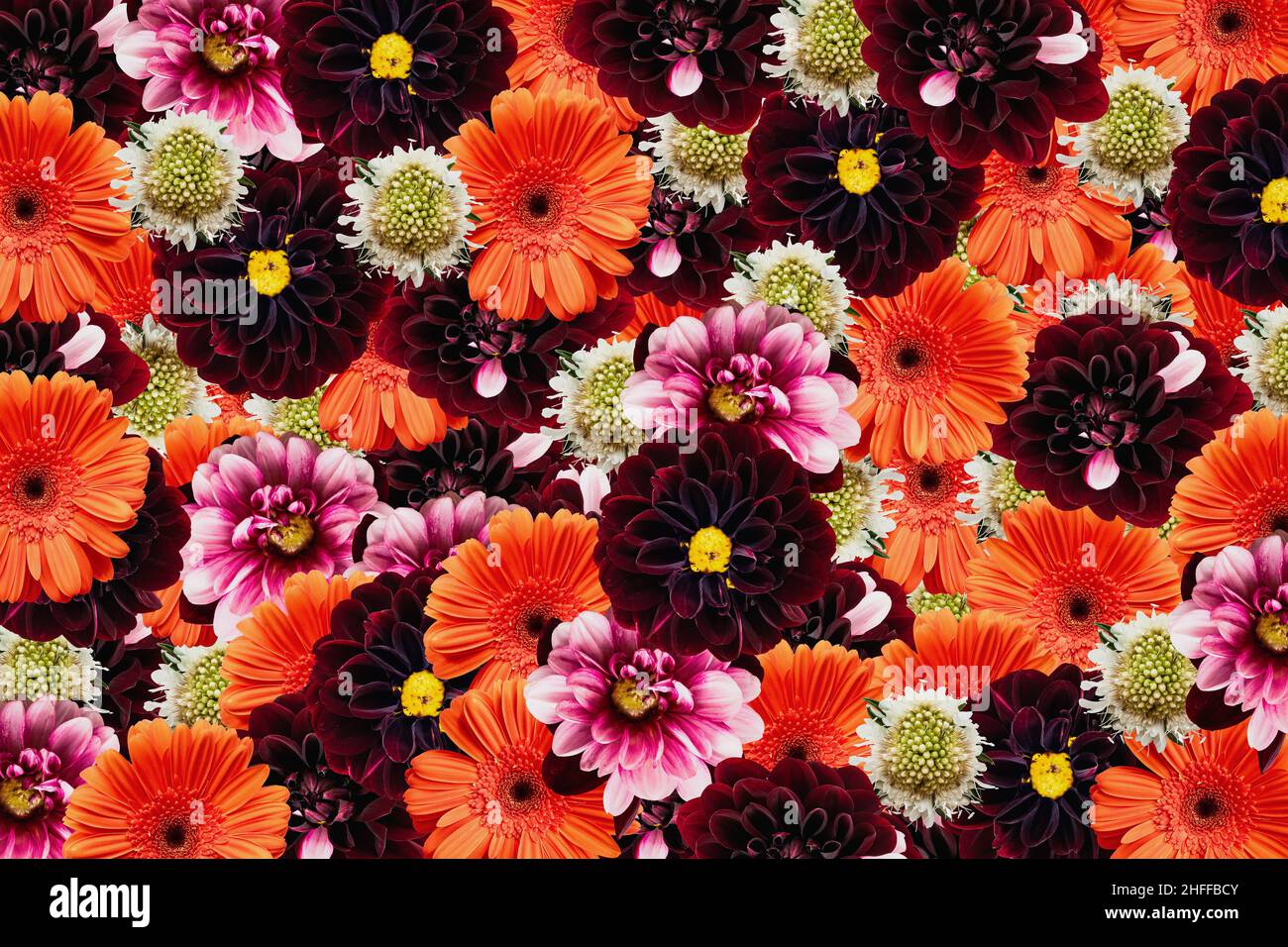 Colorful abstract of mixed floral background. Collage of photos of ...