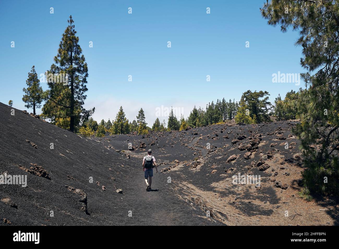 Traveler walking through volcanic landscape. Man with backpack on ...