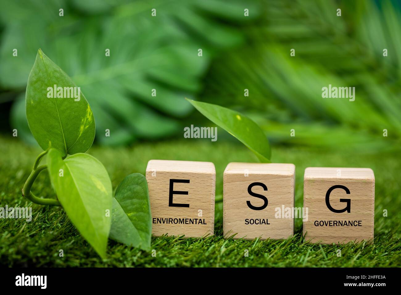 ESG environmental, social and governance concept. ESG words on a wooden ...