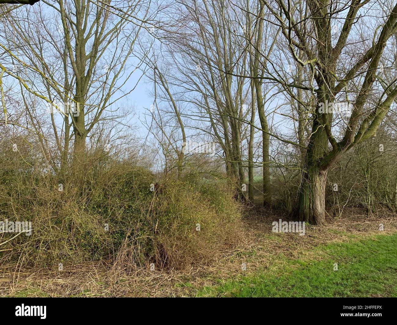 Wolverton near Cosgrove Milton Keynes UK Stock Photo - Alamy