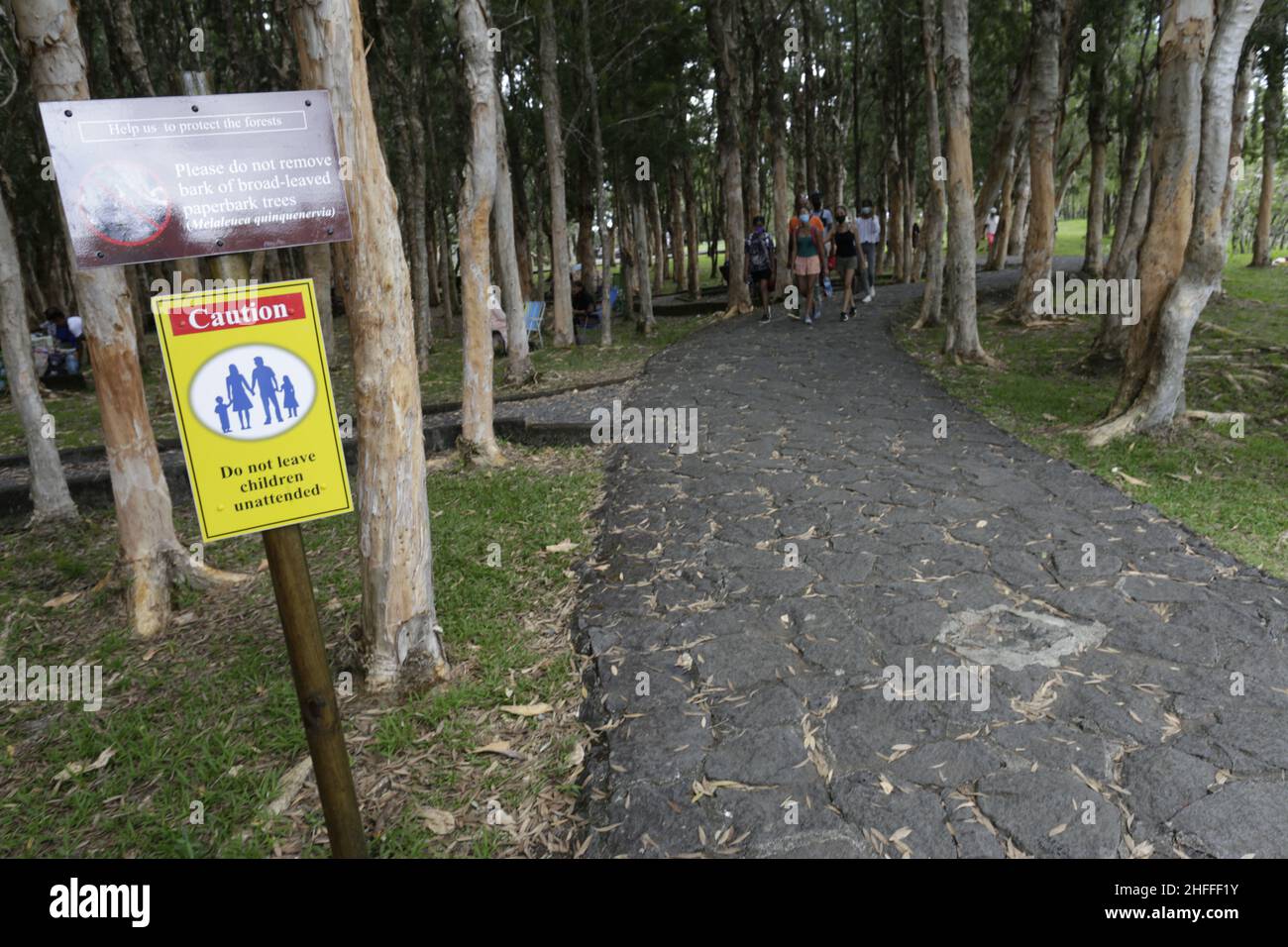 Alexandra Falls View Point Stock Photo - Alamy