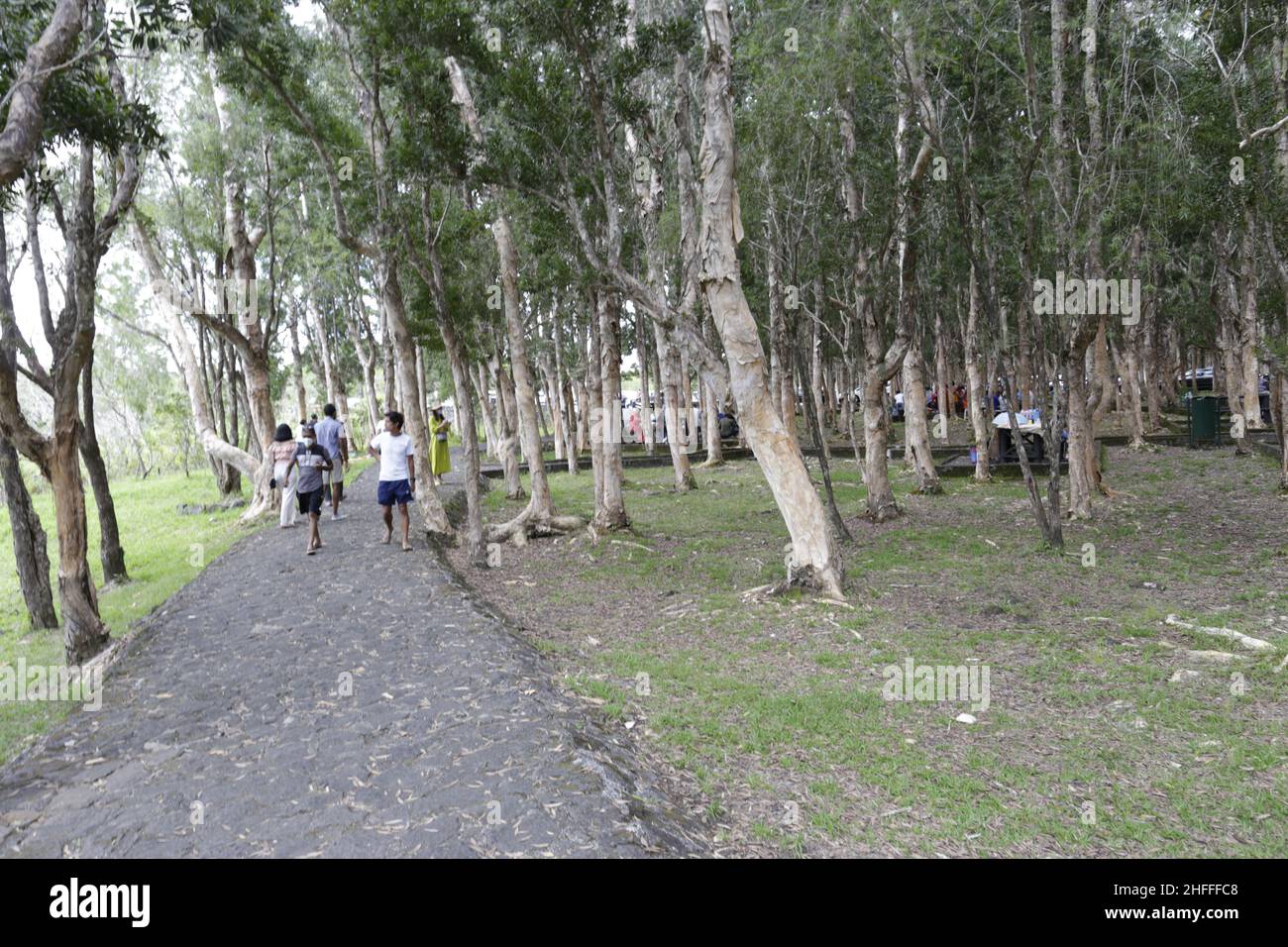 Alexandra Falls View Point Stock Photo - Alamy