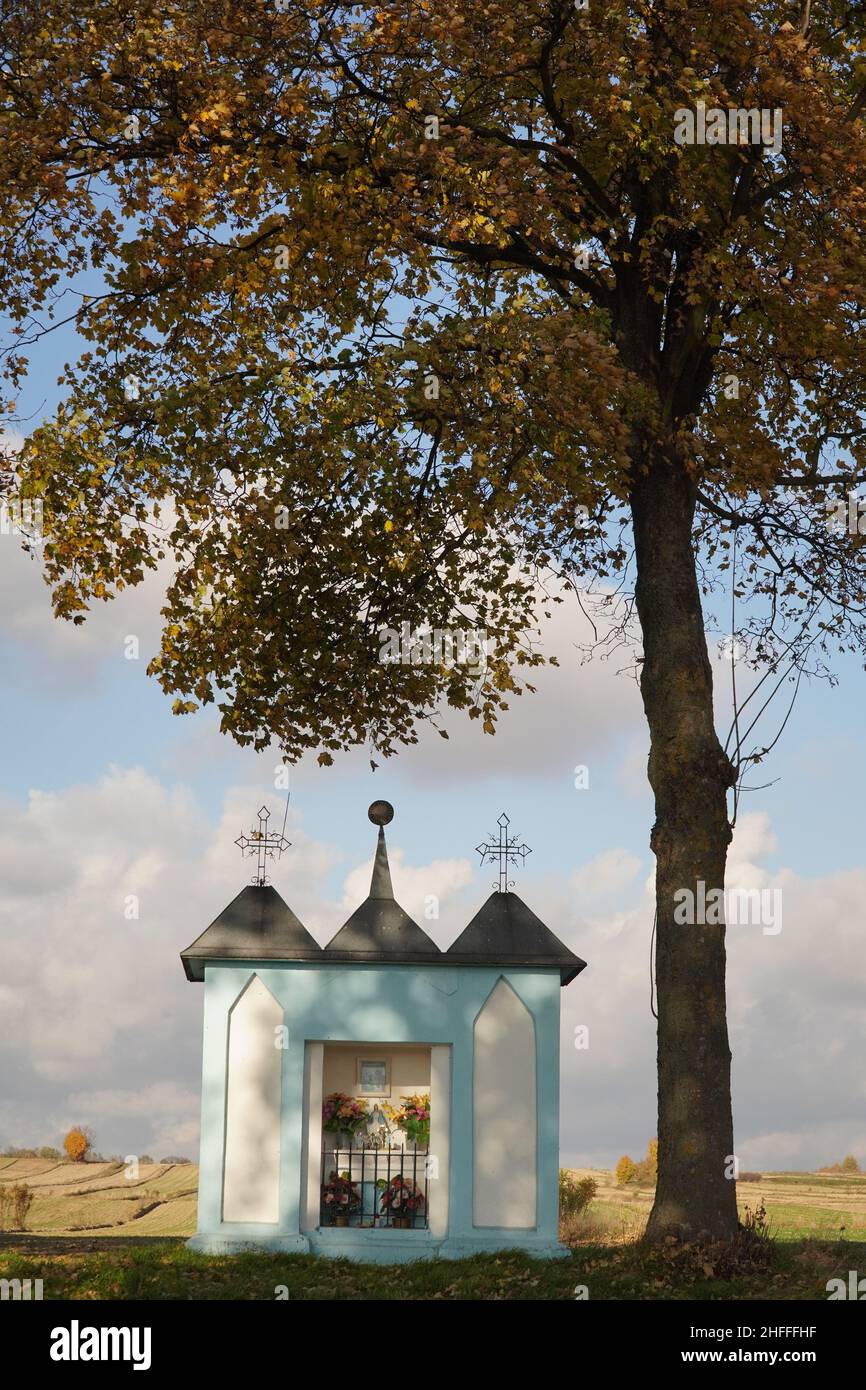 a small village chapel. a brick old chapel by a tree among fields. old ...