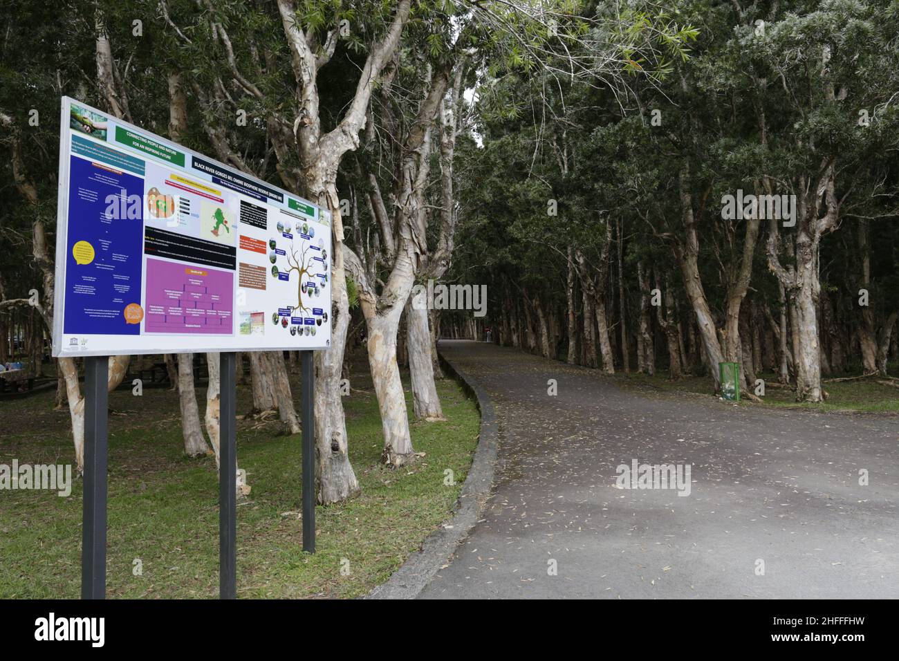 Alexandra Falls View Point Stock Photo - Alamy