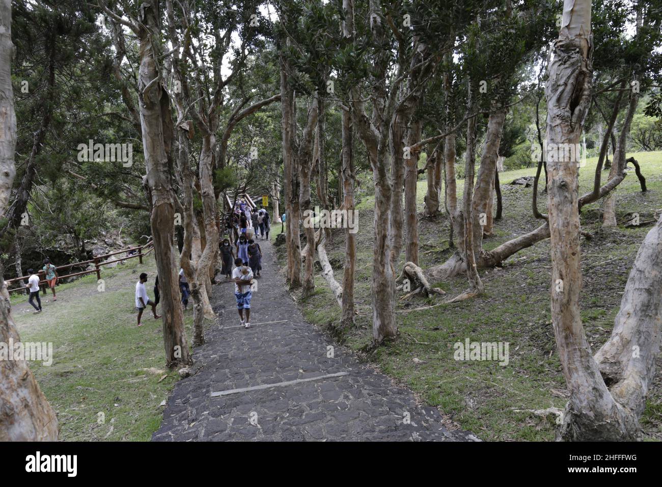 Alexandra Falls View Point Stock Photo - Alamy