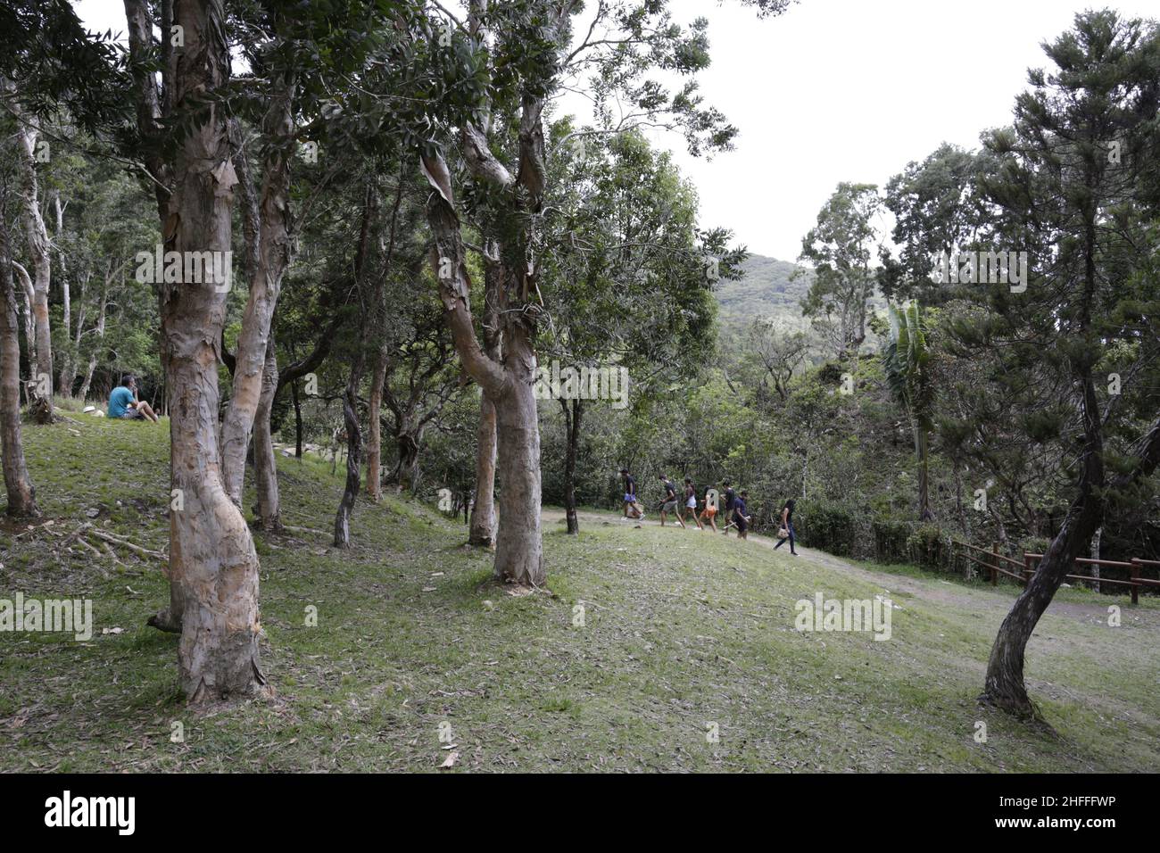 Alexandra Falls View Point Stock Photo - Alamy