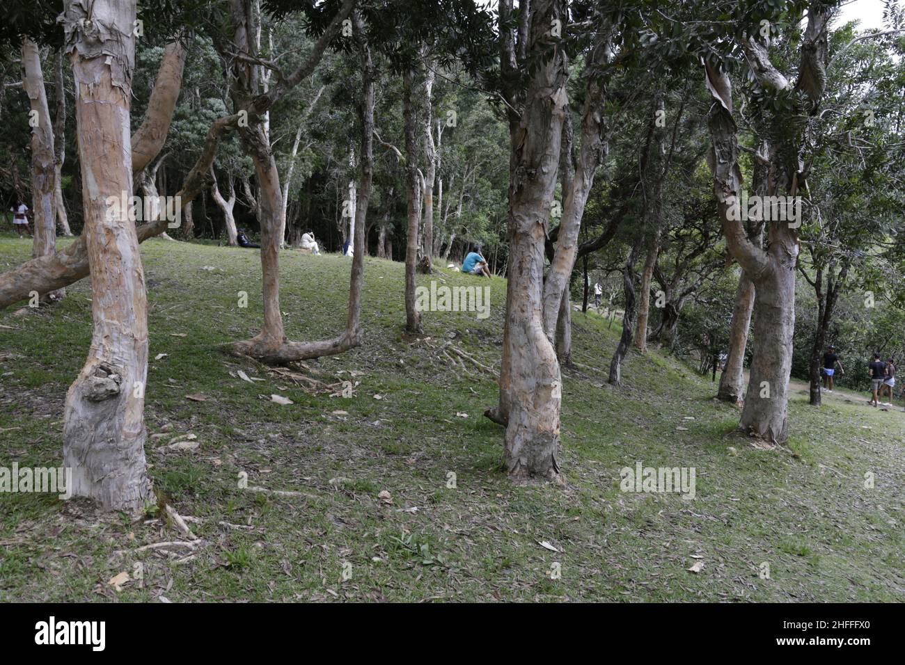 Alexandra Falls View Point Stock Photo - Alamy
