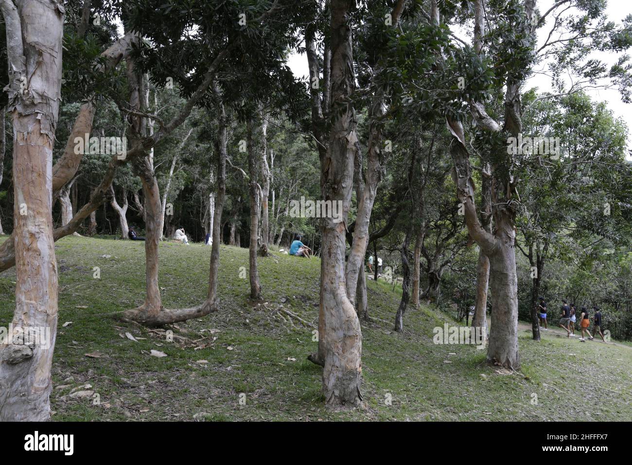 Alexandra Falls View Point Stock Photo - Alamy