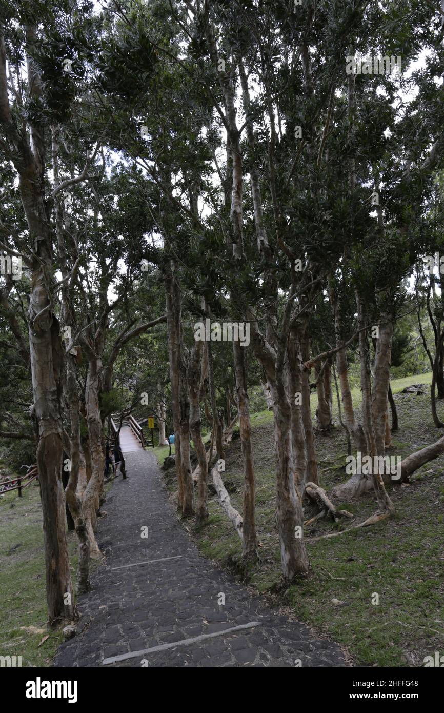 Alexandra Falls View Point Stock Photo - Alamy