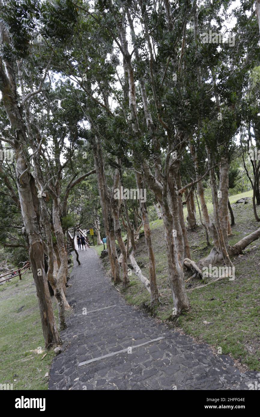 Alexandra Falls View Point Stock Photo - Alamy