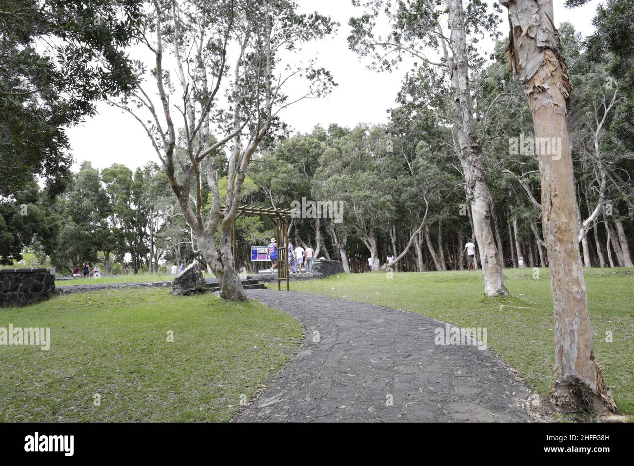 Alexandra Falls View Point Stock Photo - Alamy