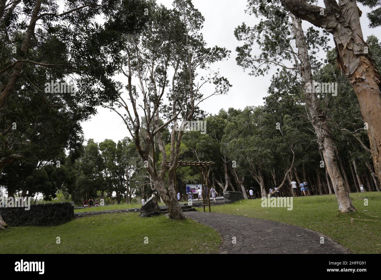 Alexandra Falls View Point Stock Photo - Alamy