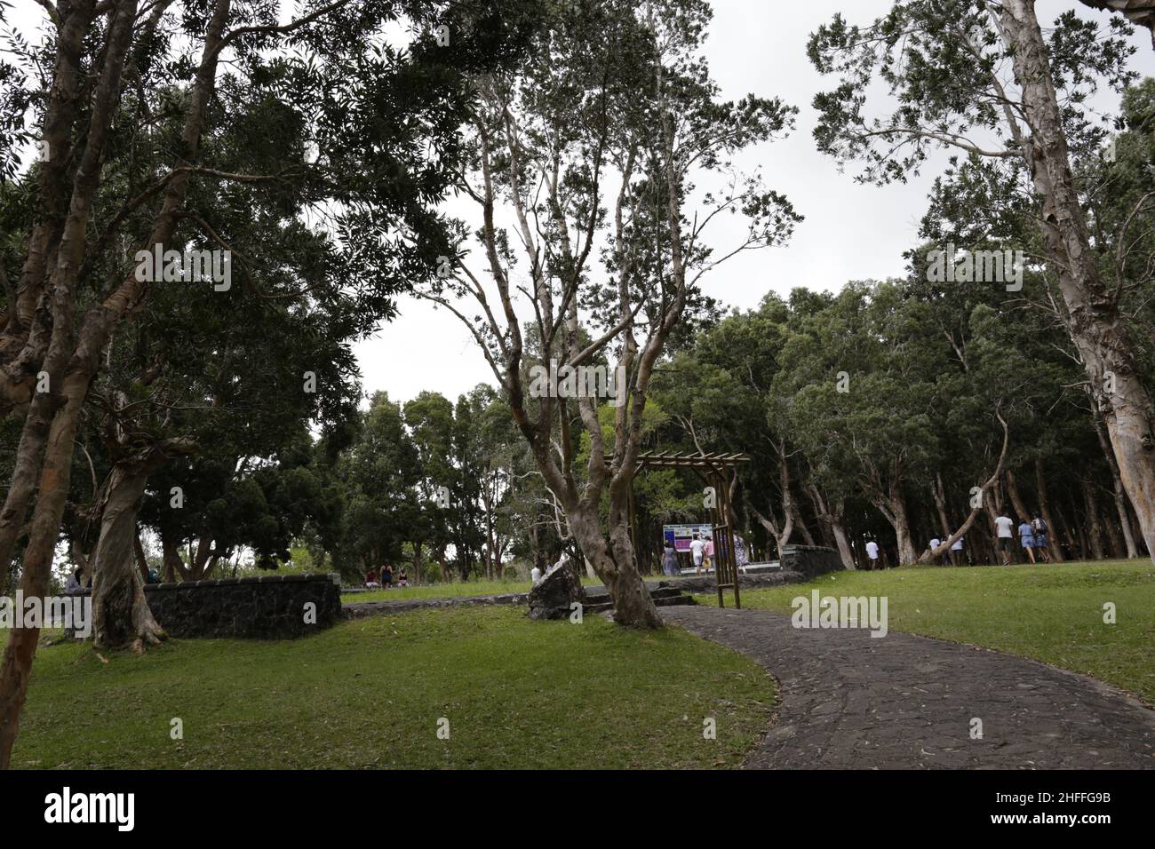 Alexandra Falls View Point Stock Photo - Alamy
