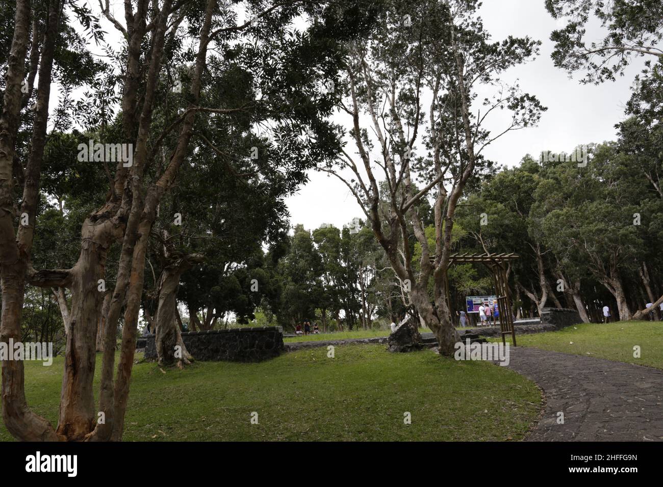 Alexandra Falls View Point Stock Photo - Alamy