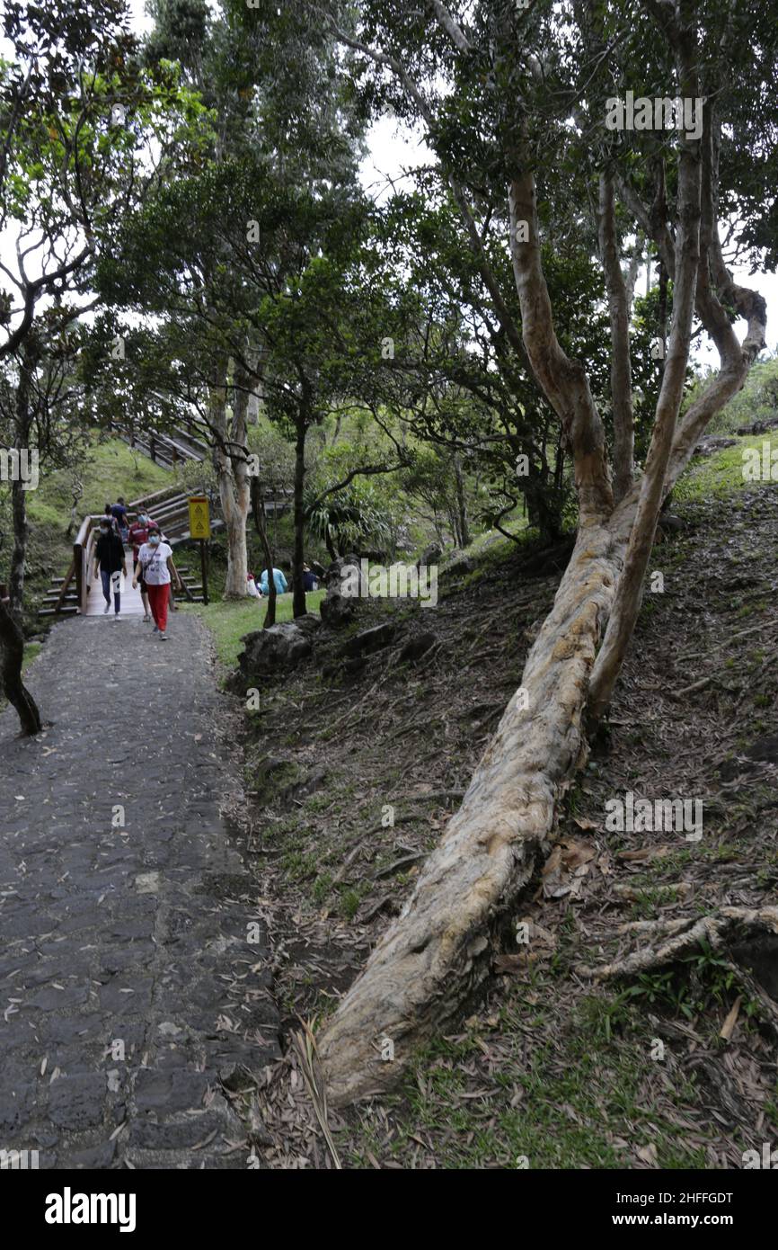 Alexandra Falls View Point Stock Photo - Alamy