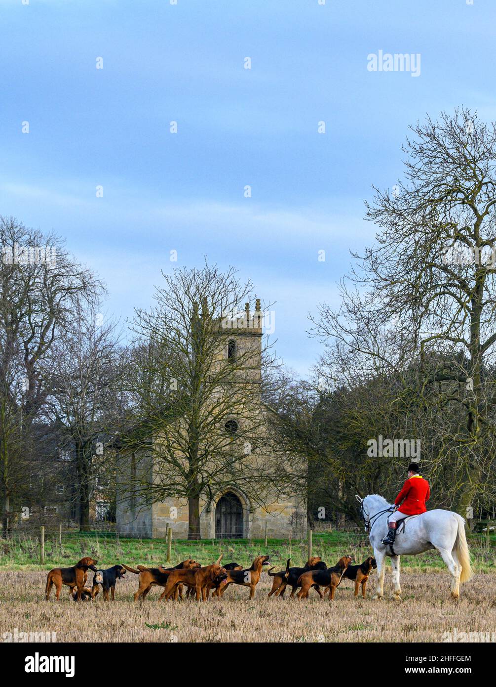Lincolnshire, UK. 26th January 2022. The Cranwell Bloodhounds on a ...