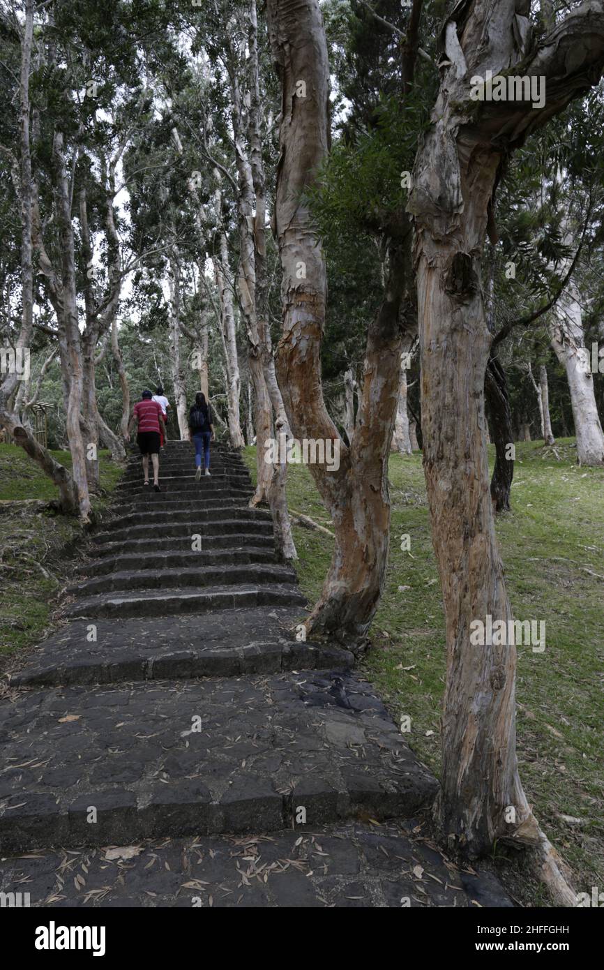 Alexandra Falls View Point Stock Photo - Alamy