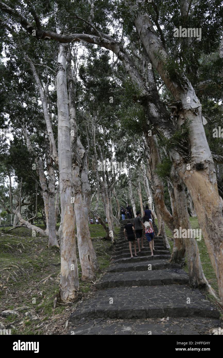 Alexandra Falls View Point Stock Photo - Alamy