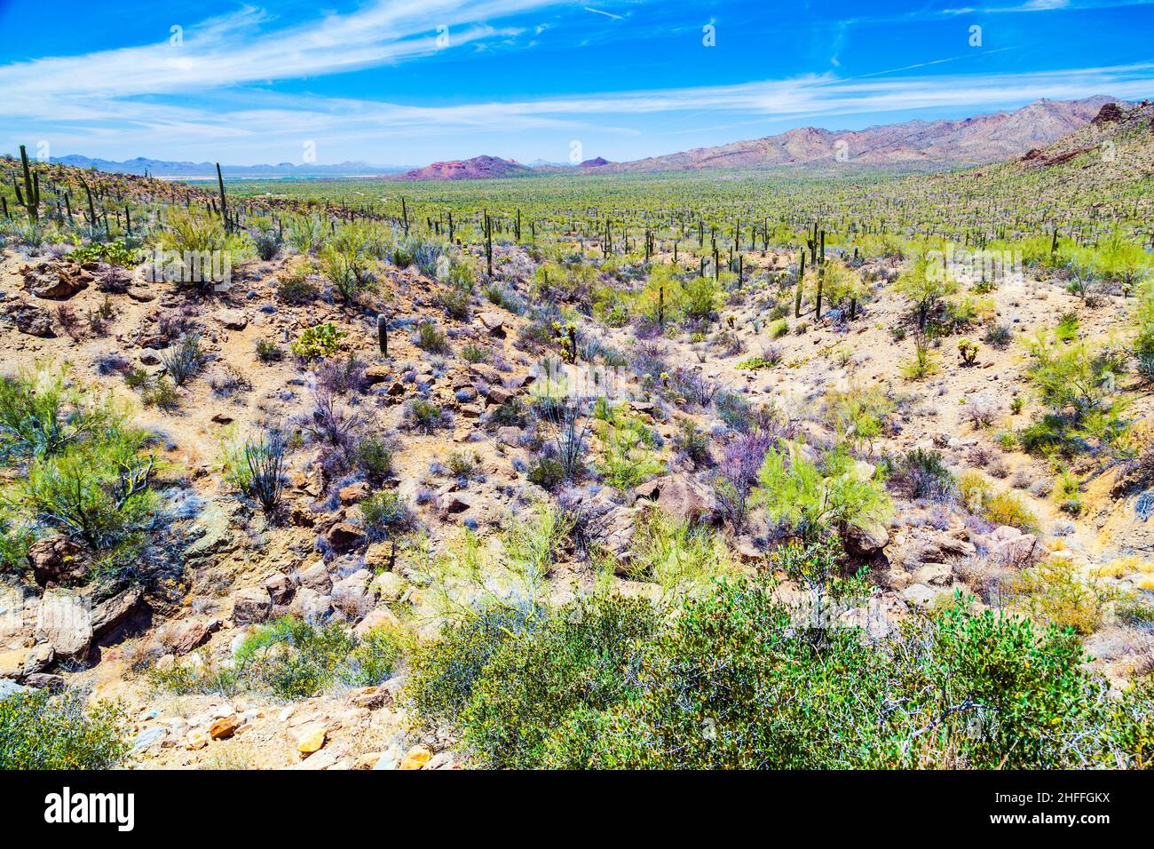 beautiful mountain desert landscape with cacti near Tuscon, Arizona ...
