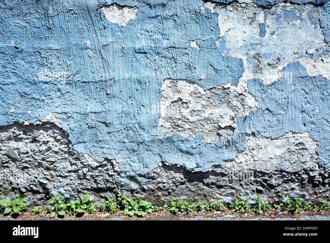 Crumbling Cement Wall with Blue Paint and Weeds Stock Photo - Alamy