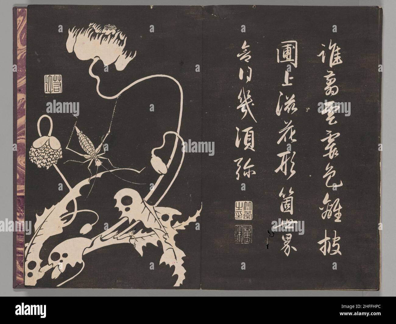 Soken sekisatsu, 1767. Woodblock printed book, with design of insect ...