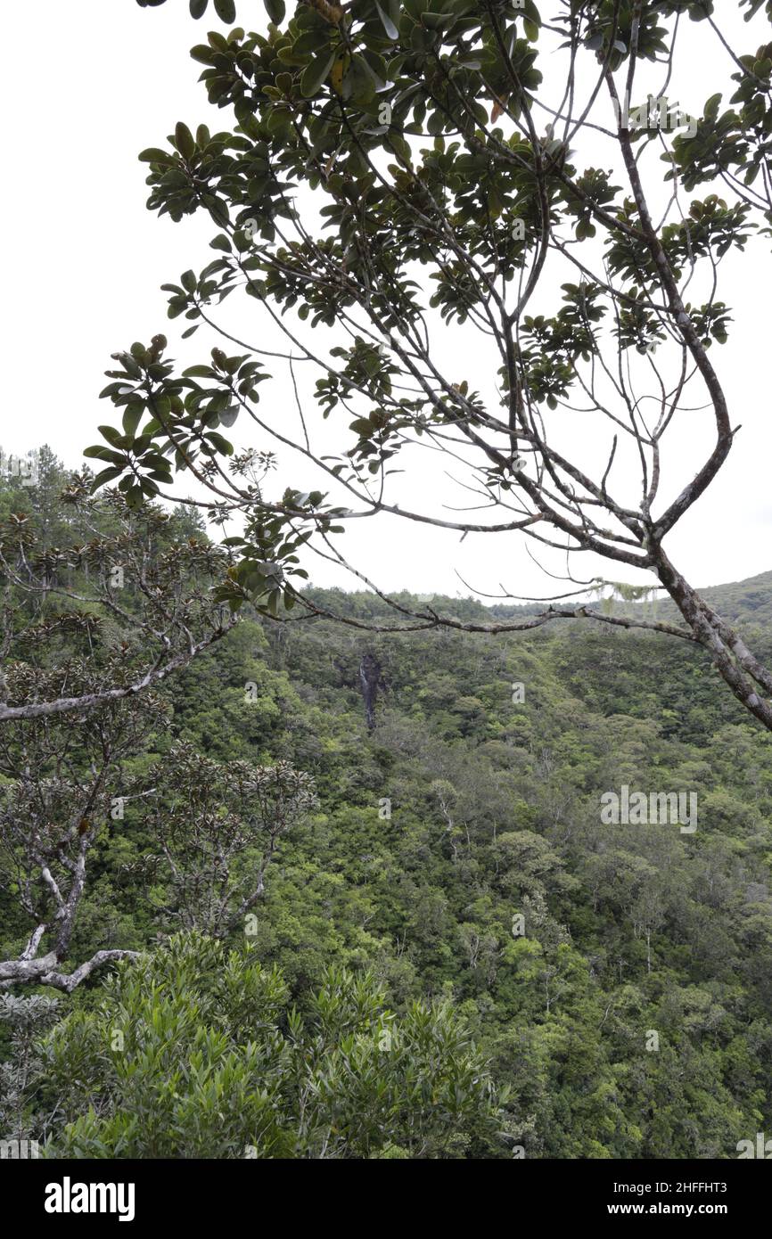 Alexandra Falls View Point Stock Photo - Alamy