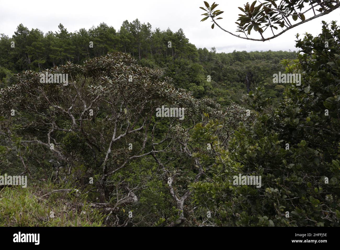 Alexandra Falls Viewpoint Stock Photo - Alamy