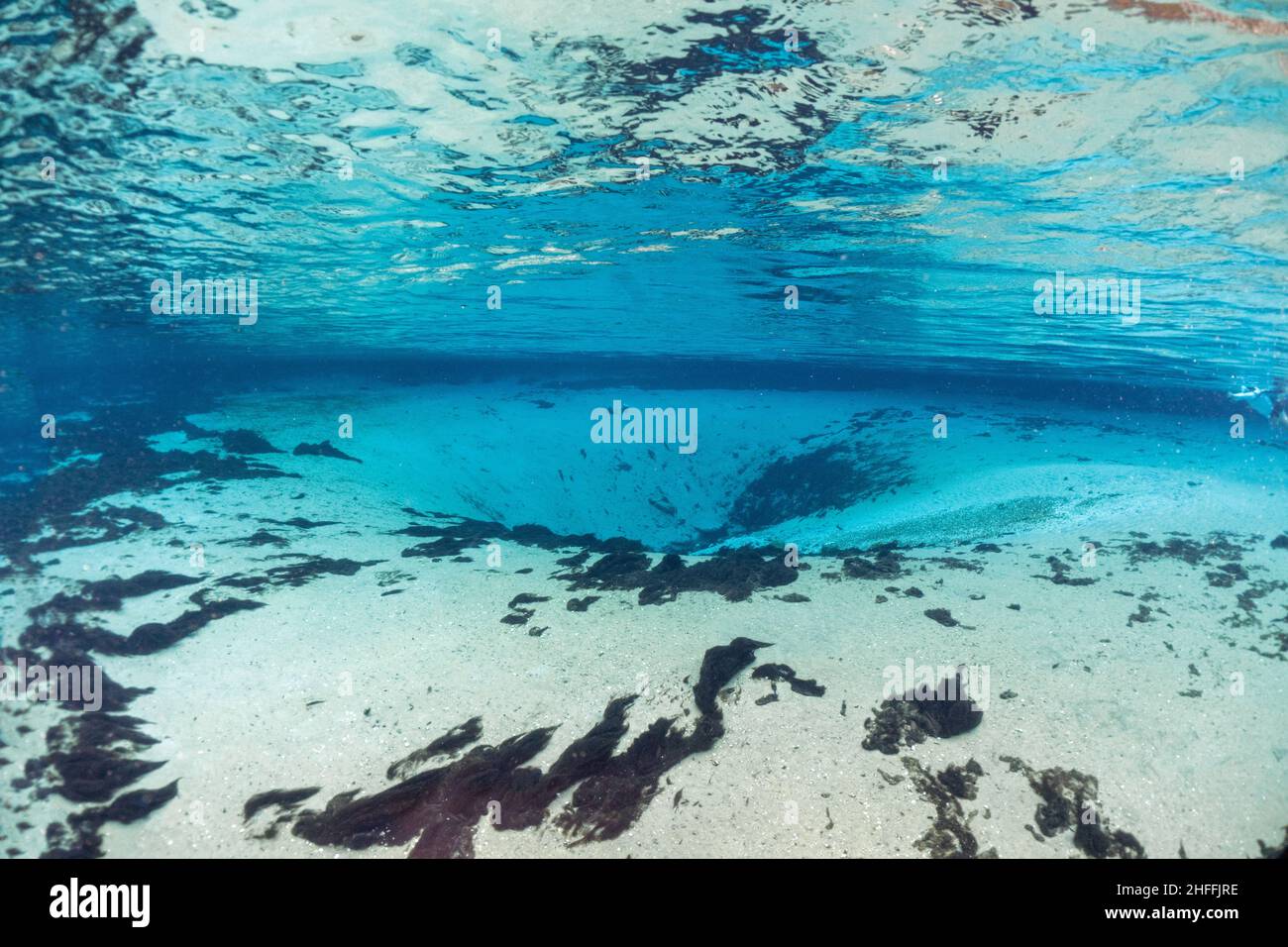 Silver Glen Springs Stock Photo - Alamy