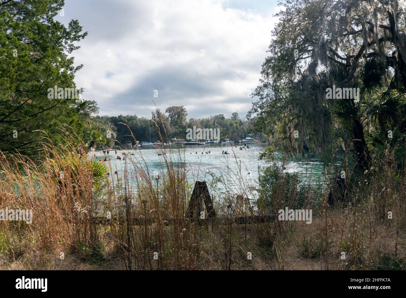 Silver Glen Springs Stock Photo - Alamy