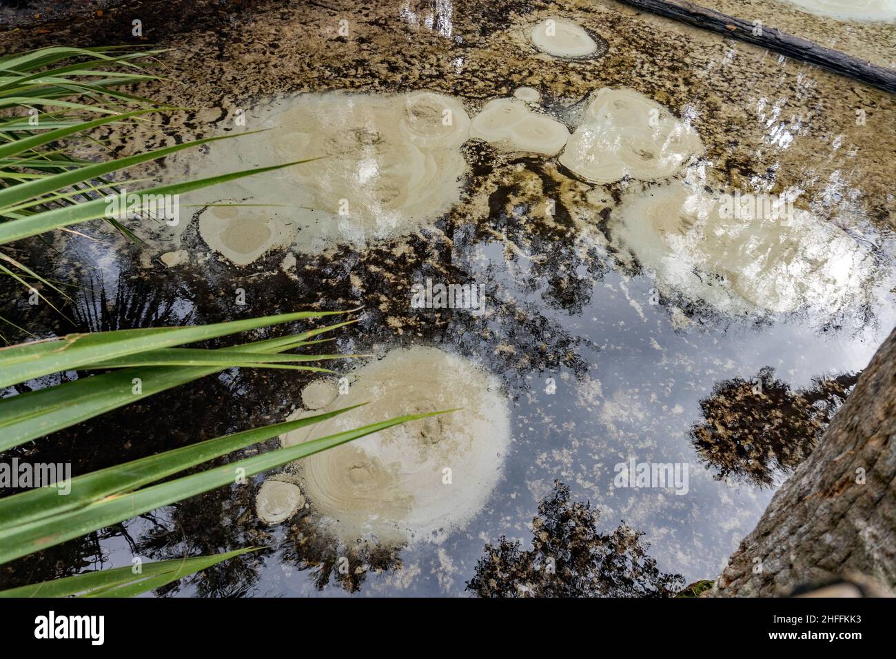 Silver Glen Springs Stock Photo - Alamy