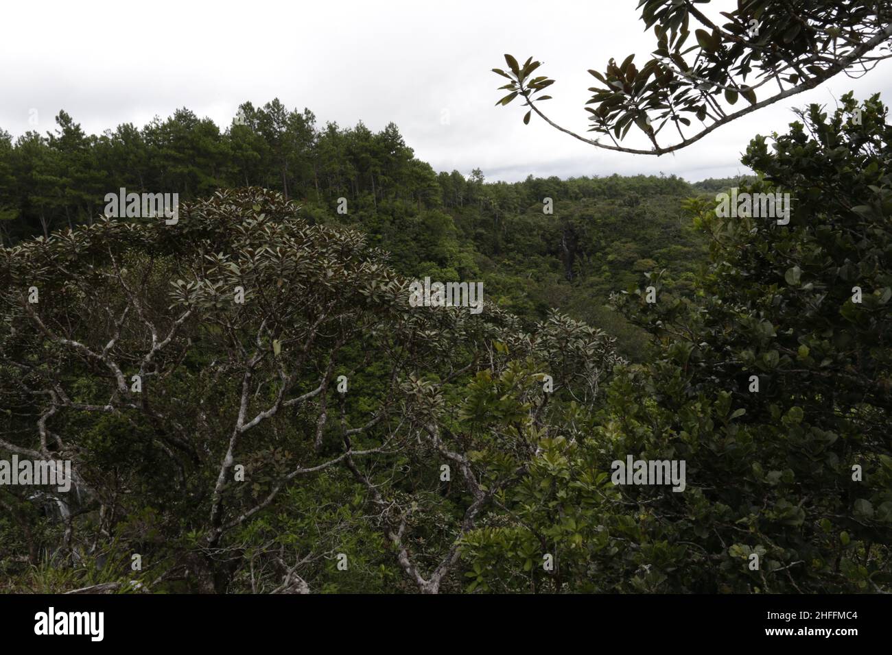Alexandra Falls Viewpoint Stock Photo - Alamy