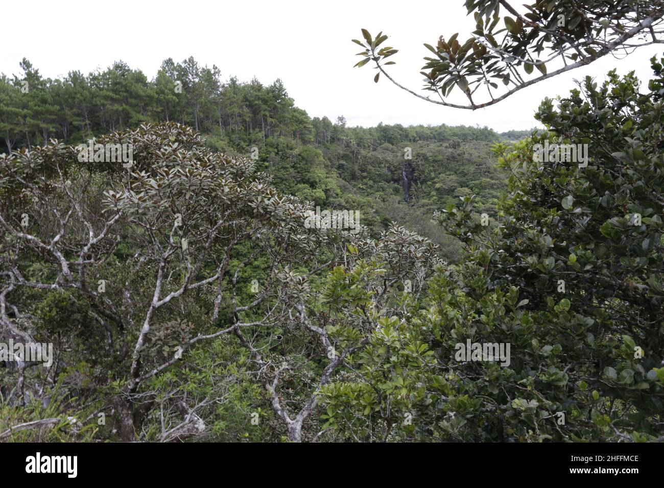 Alexandra Falls Viewpoint Stock Photo - Alamy