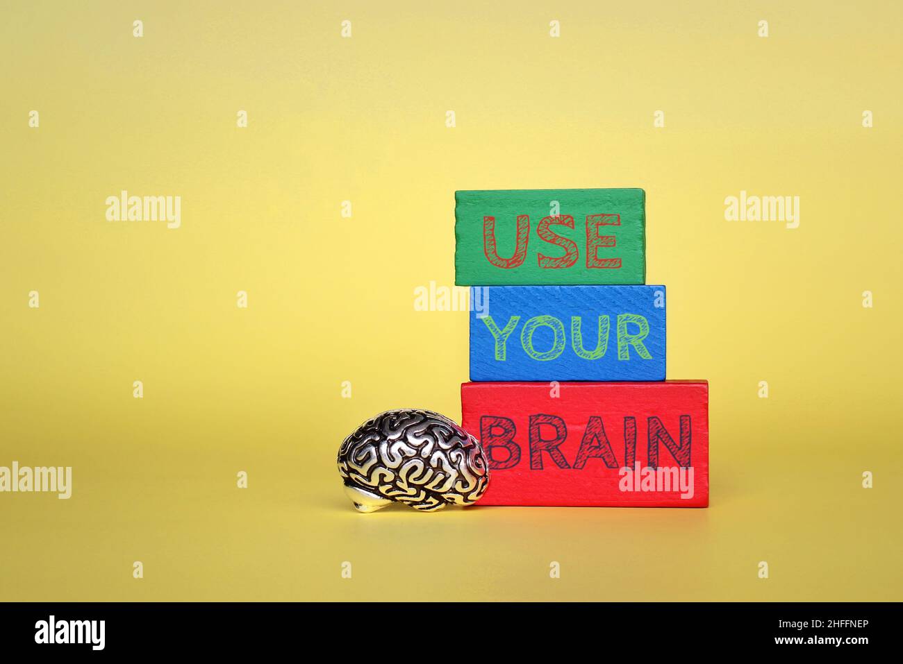 Close up image of brain model and wooden cubes with text USE YOUR BRAIN ...