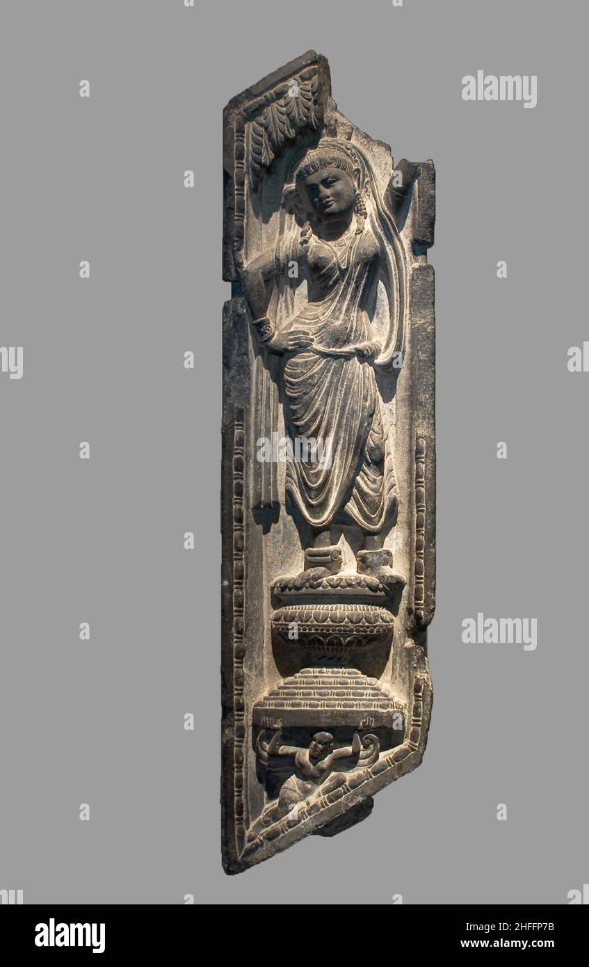 Pakistan swat trees hi-res stock photography and images - Alamy