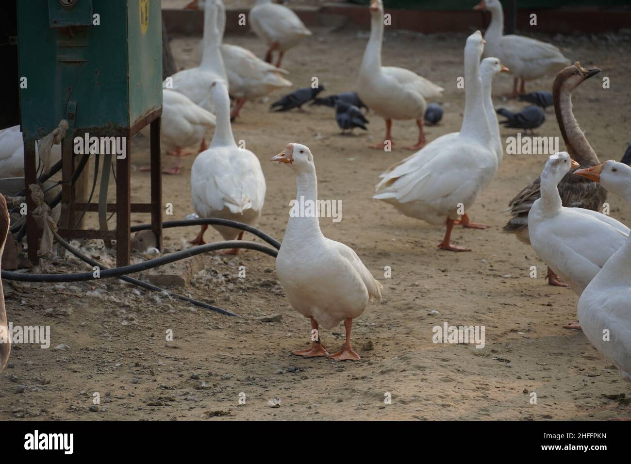 Lord Vishwakarma High Resolution Stock Photography and Images - Alamy