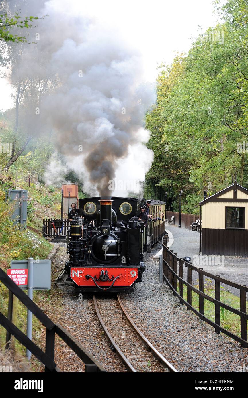 "Prince of Wales" and No. "8" leaving Aberffrwd with a train for Devil ...