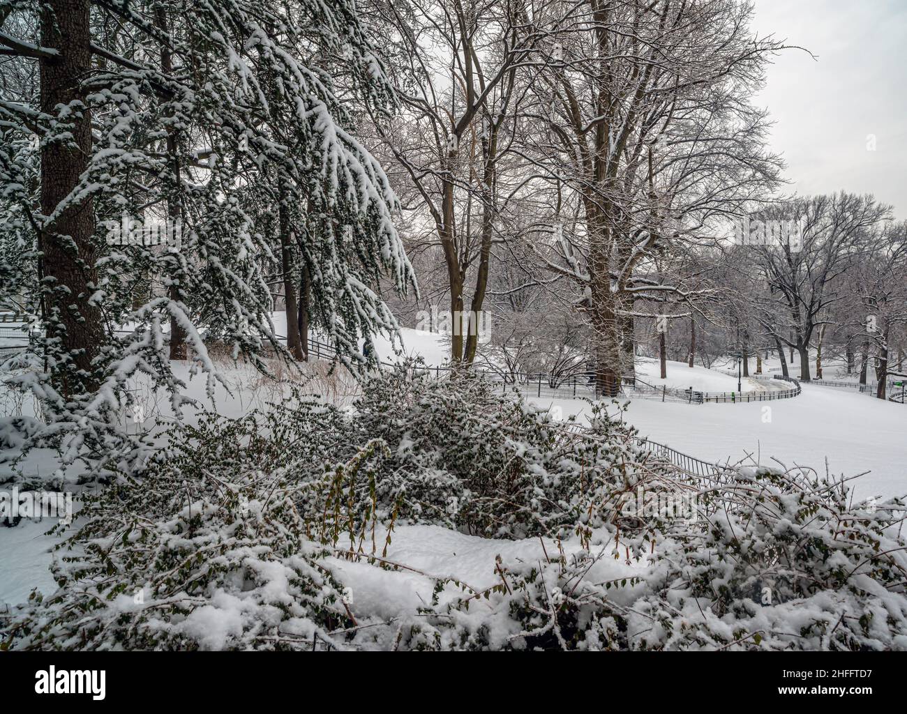 Central Park in winter after snow storm, New York City Stock Photo - Alamy