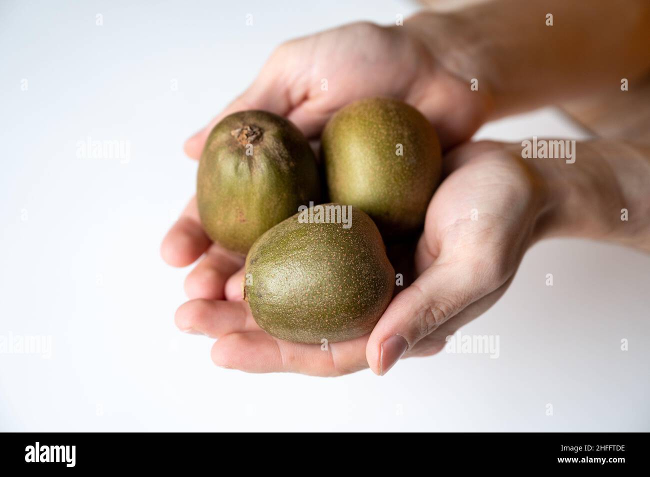 Hands holding three kiwi on white background Stock Photo - Alamy
