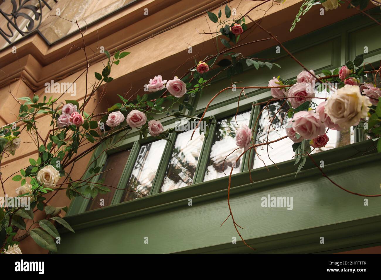 Window and flowers. Beautiful pink rose in the close windows outside ...