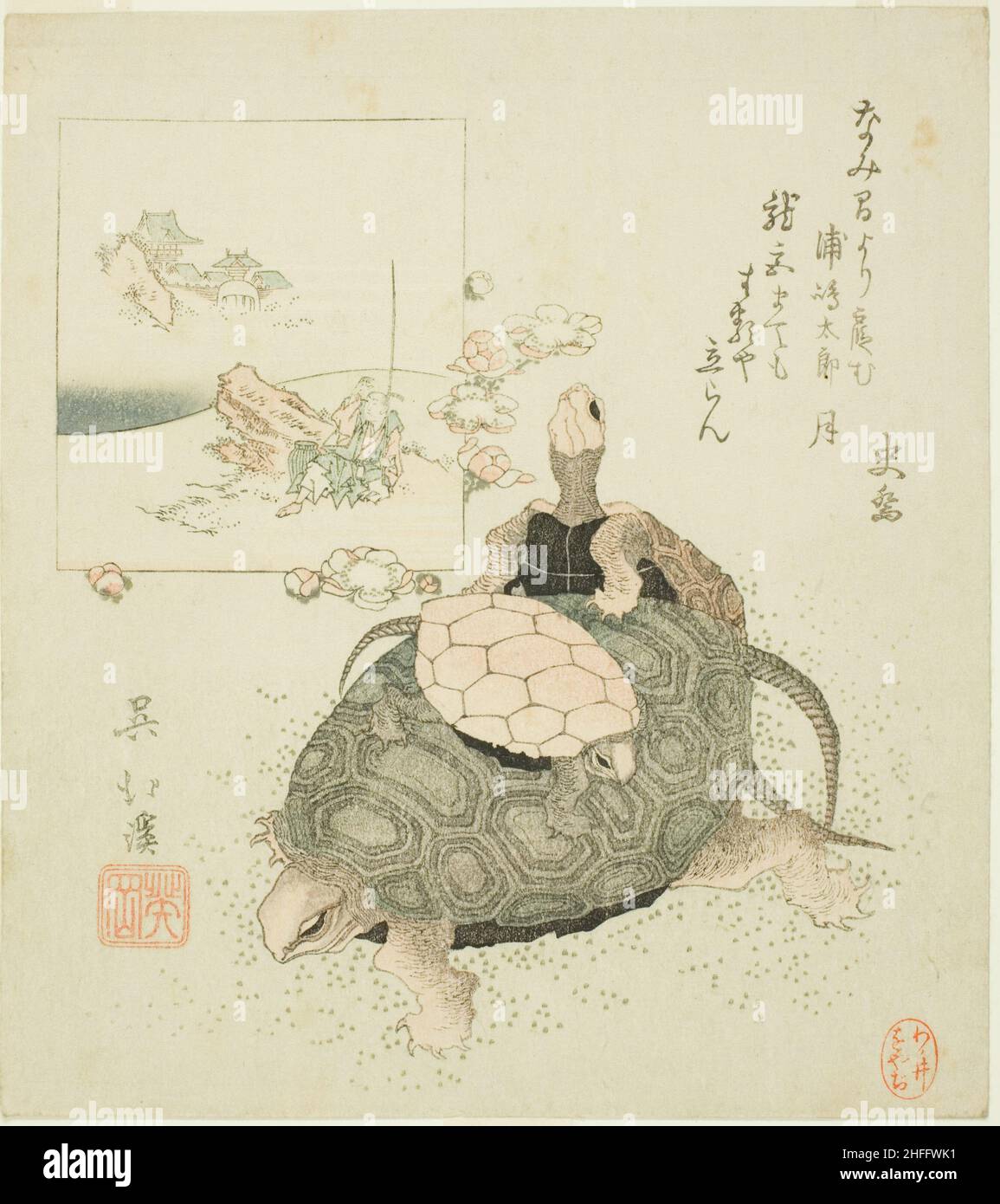 Urashima taro turtle hi-res stock photography and images - Alamy