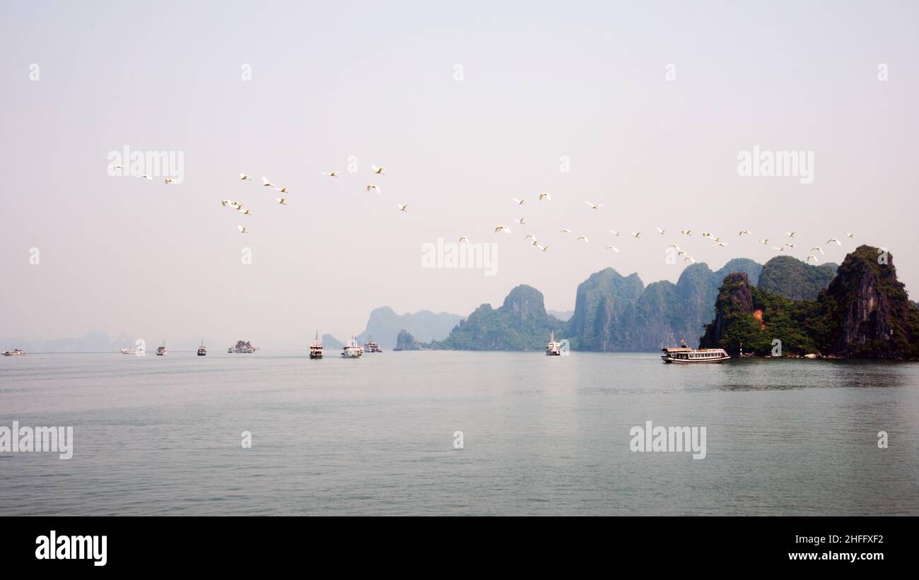 Beautiful landscape in Halong bay, Vietnam. Cliffs in the water ...