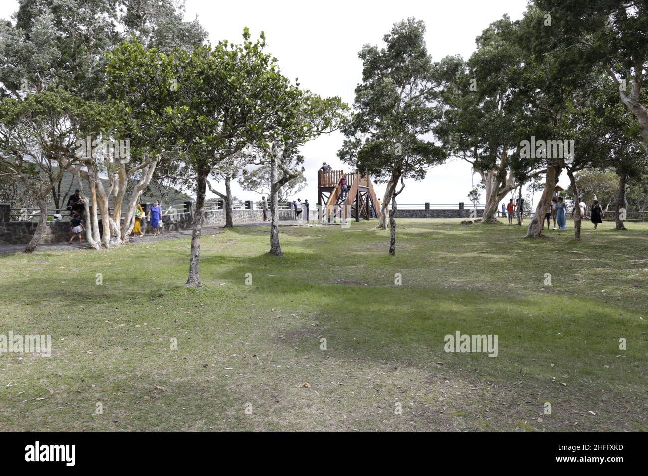 Alexandra Falls View Point Stock Photo - Alamy