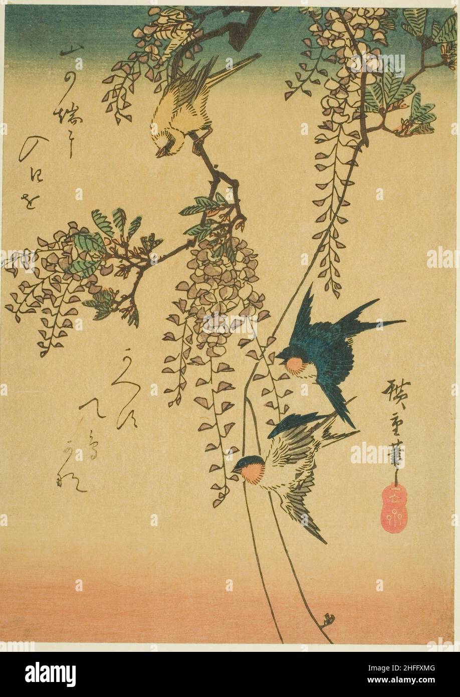 Swallow, yellow bird, and wisteria, 1830s-1840s Stock Photo - Alamy