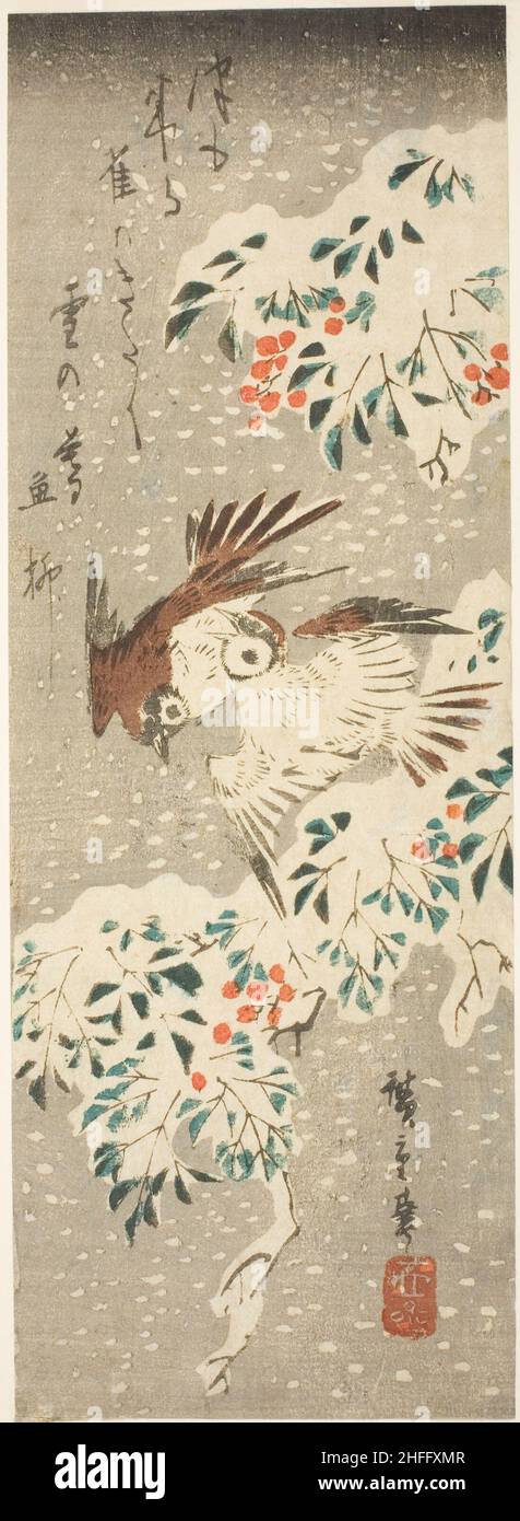 Sparrows flitting hi-res stock photography and images - Alamy