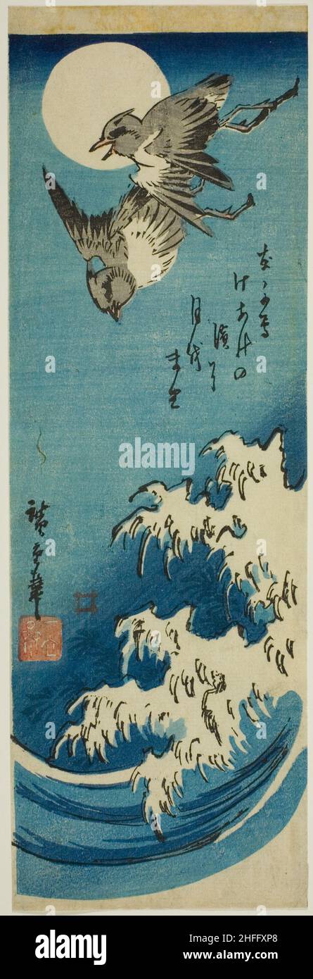 Plovers, full moon, and waves, 1840s Stock Photo - Alamy