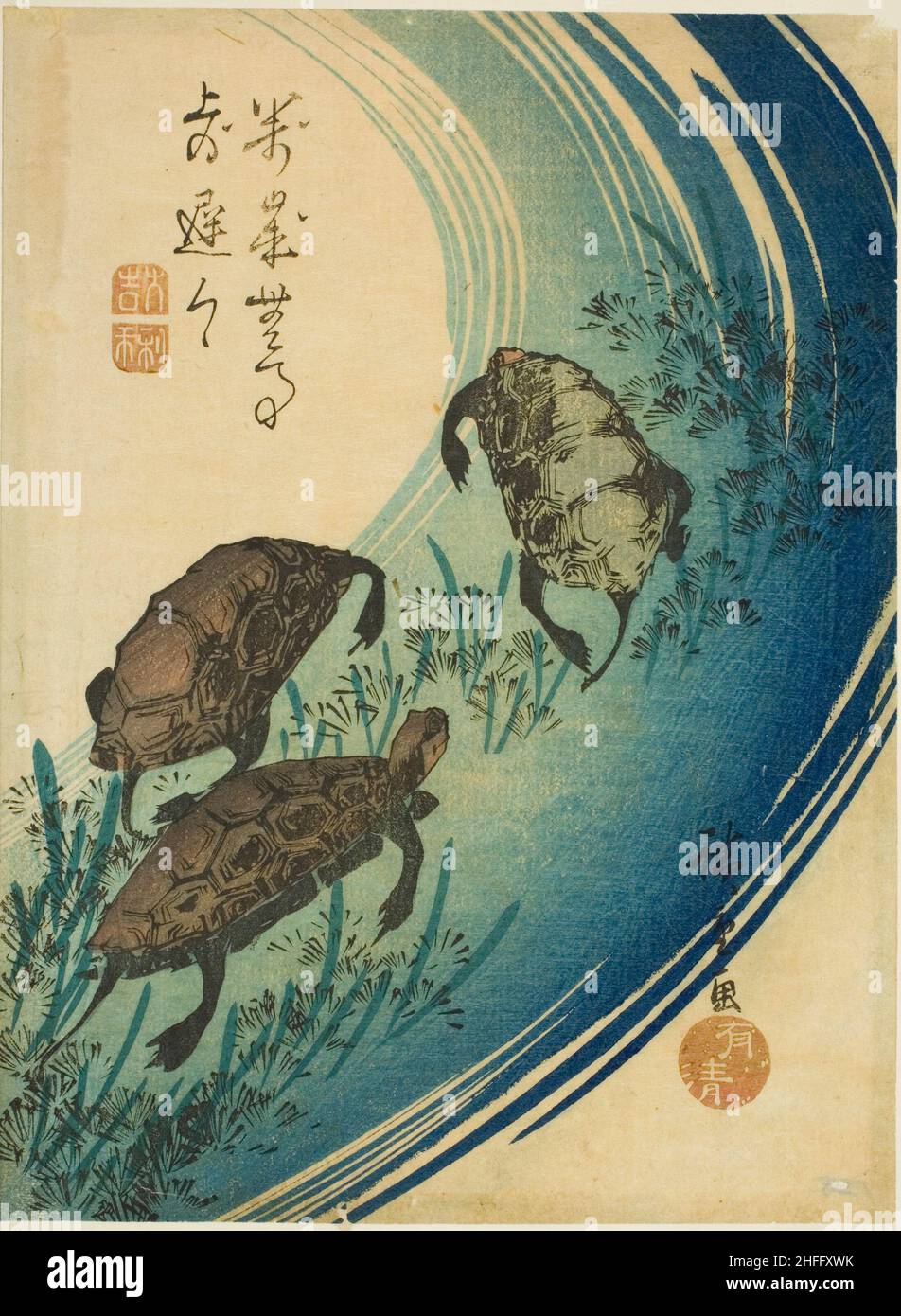 Turtles swimming in a stream, c. 1840 Stock Photo - Alamy